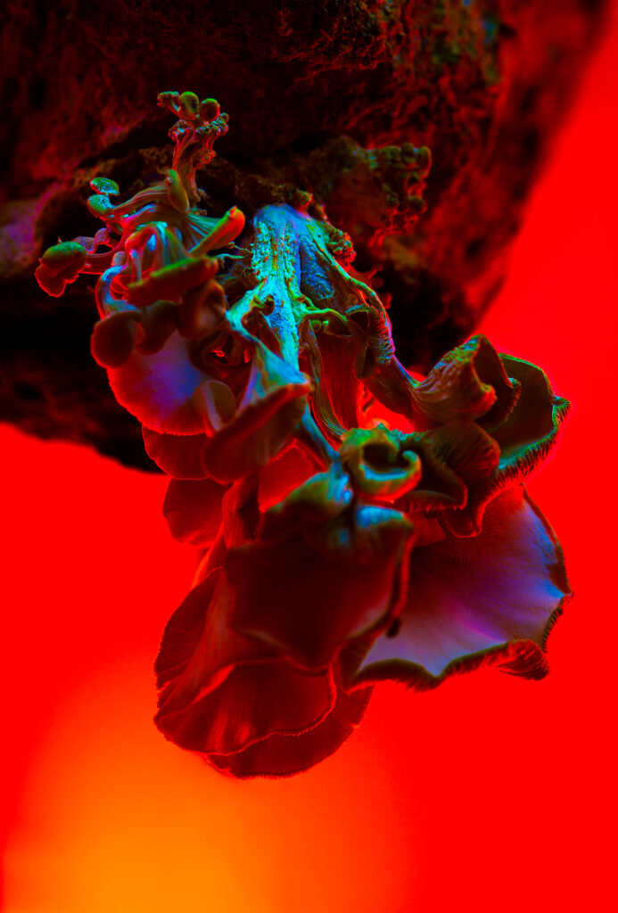 Juan Pablo Ferlat + Ariel Wilner – Programa Presente Continuo